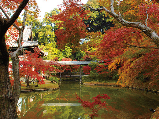 KNTメンバーズクラブ会員300万人達成キャンペーン 第2弾│近畿日本ツーリスト